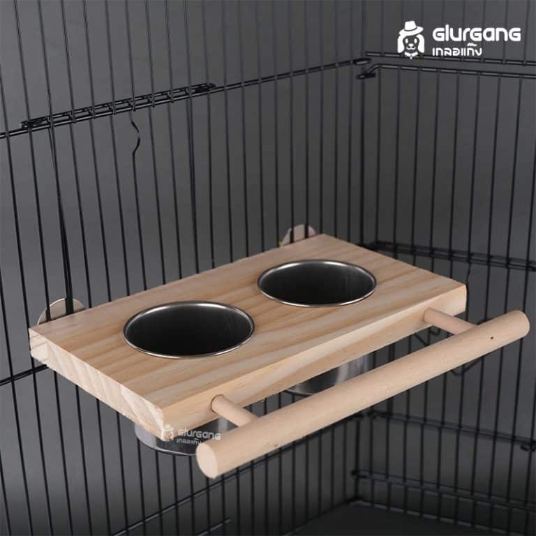 5 วิธีเลี้ยงนกแก้ว ! และ 3 ข้อที่ควรรู้ก่อนเลี้ยง