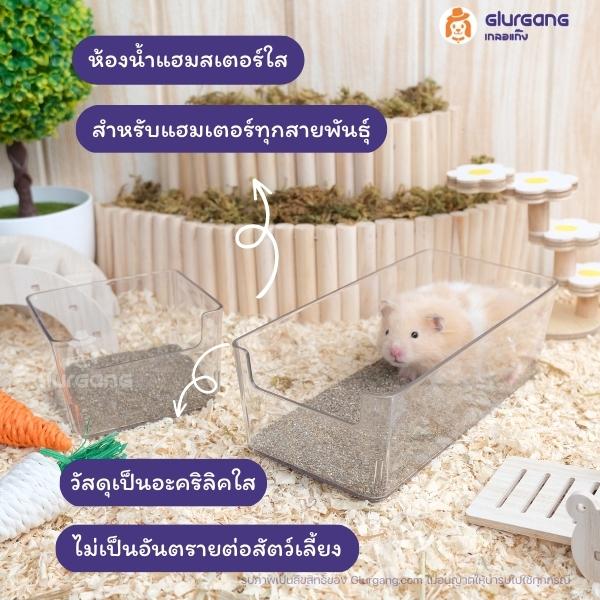 ห้องน้ำแฮมสเตอร์ใส ราคาถูก ส่งฟรี | ซื้อออนไลน์ GlurGang