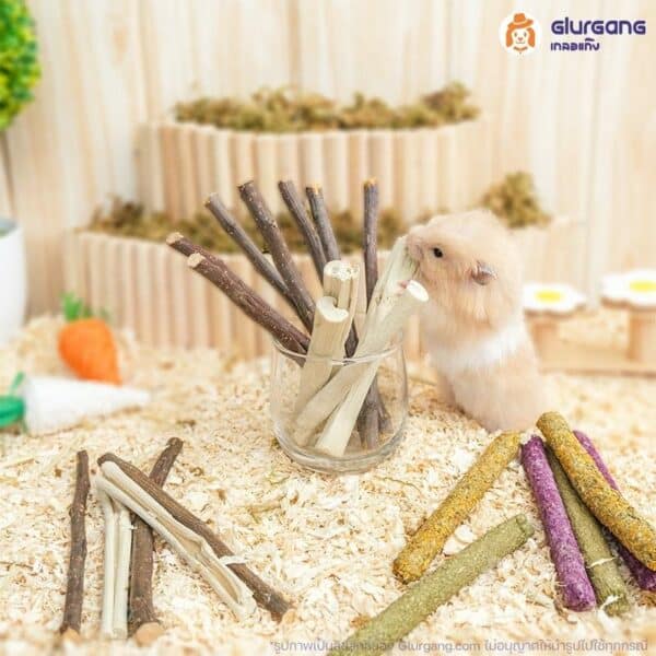 อุปกรณ์ หนูแฮมสเตอร์ ราคาถูก ส่งฟรี | ซื้อออนไลน์ ที่ Glurgang